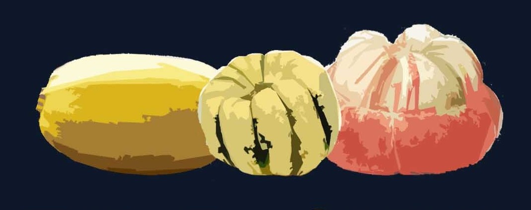 Guide to Hard Squash | Four Seasons