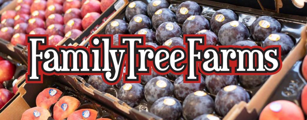 FAMILY TREE FARM | Four Seasons