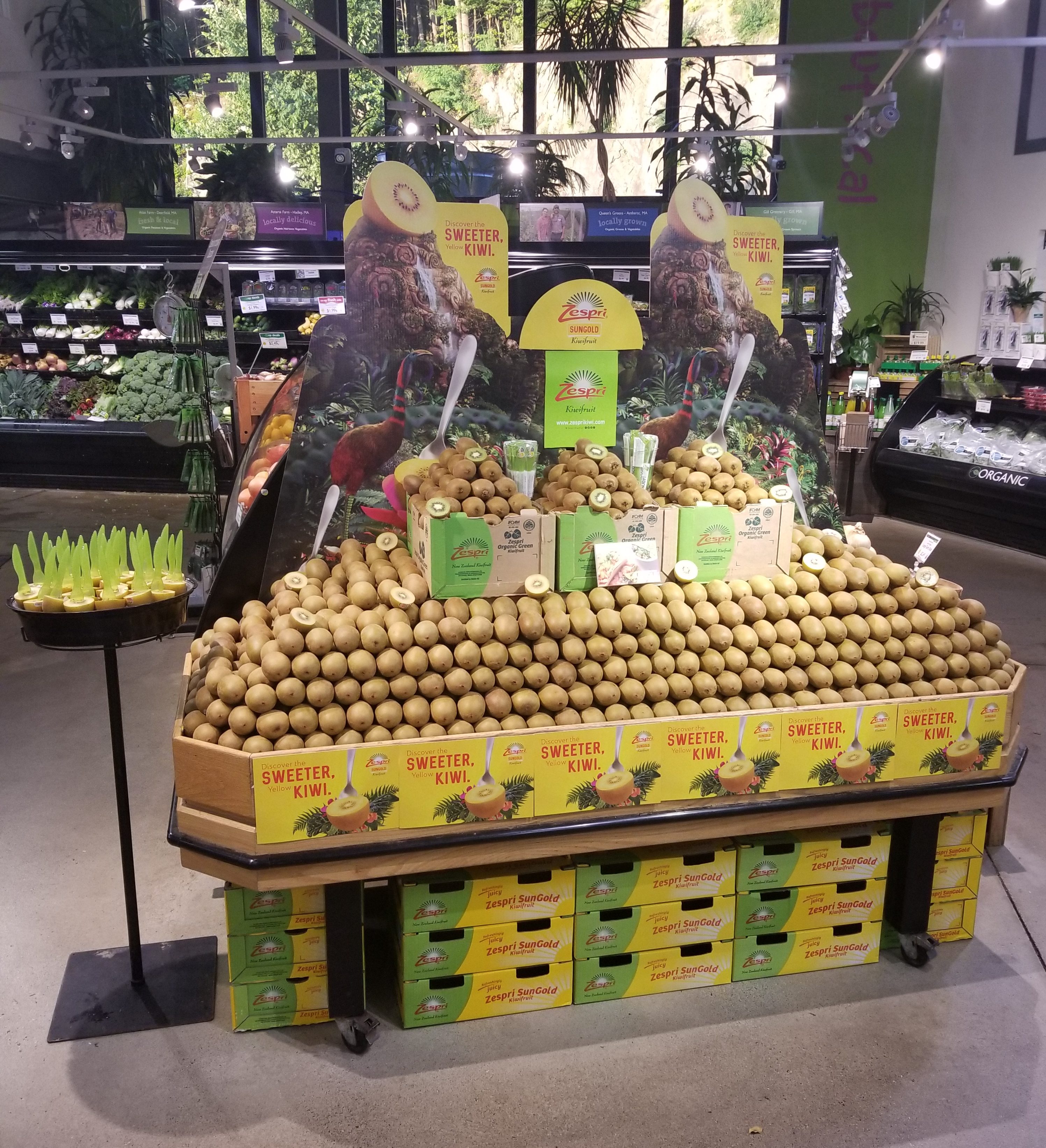 2019 Organic Zespri Kiwi Display Contest Winners Four Seasons