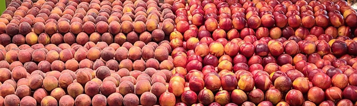 2021 Organic Stone Fruit Display Contest Winners | Four Seasons