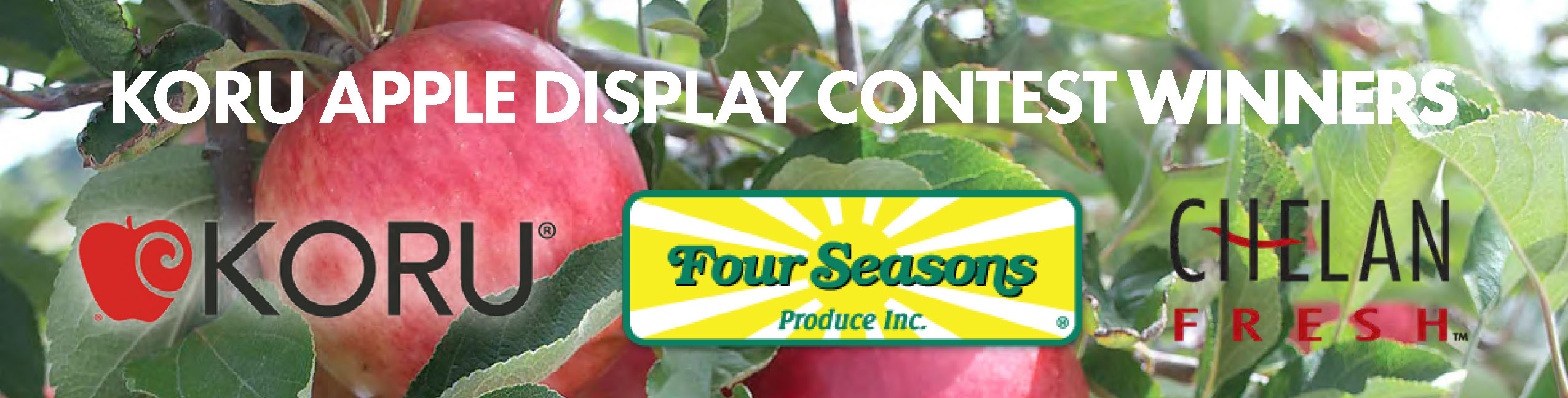 2023 KORU Display Contest Winners - Four Seasons